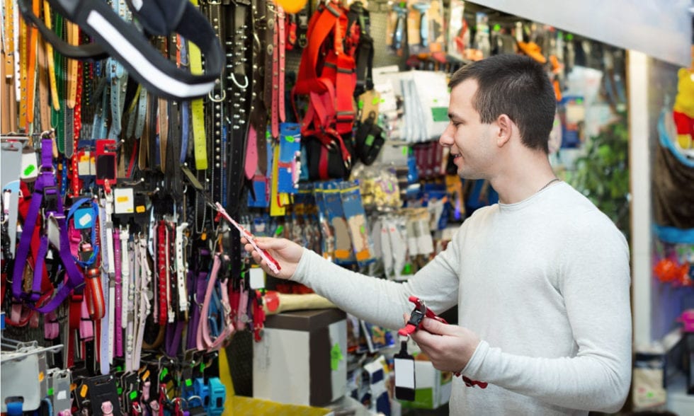 Keep pet parents coming back with these loyalty program ideas ...