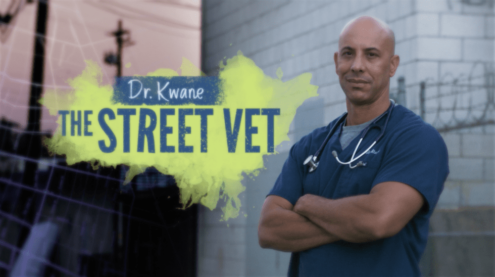 Dr. Kwane Stewart, the "Street Vet" Talks with Raising Your Paws. (Vlog ...