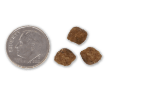 Kibble Sizes - NutriSource Pet Foods