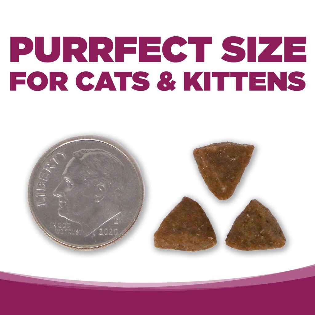 Cat & Kitten Chicken & Rice | Healthy Cat Food | NutriSource Pet Foods