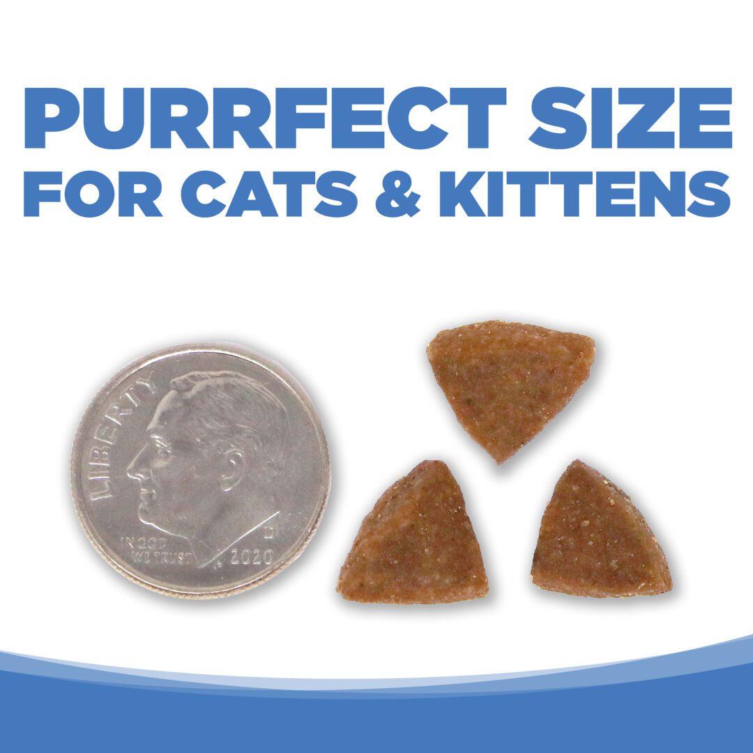 Cat & Kitten Chicken Meal, Salmon & Liver Cat Food | NutriSource