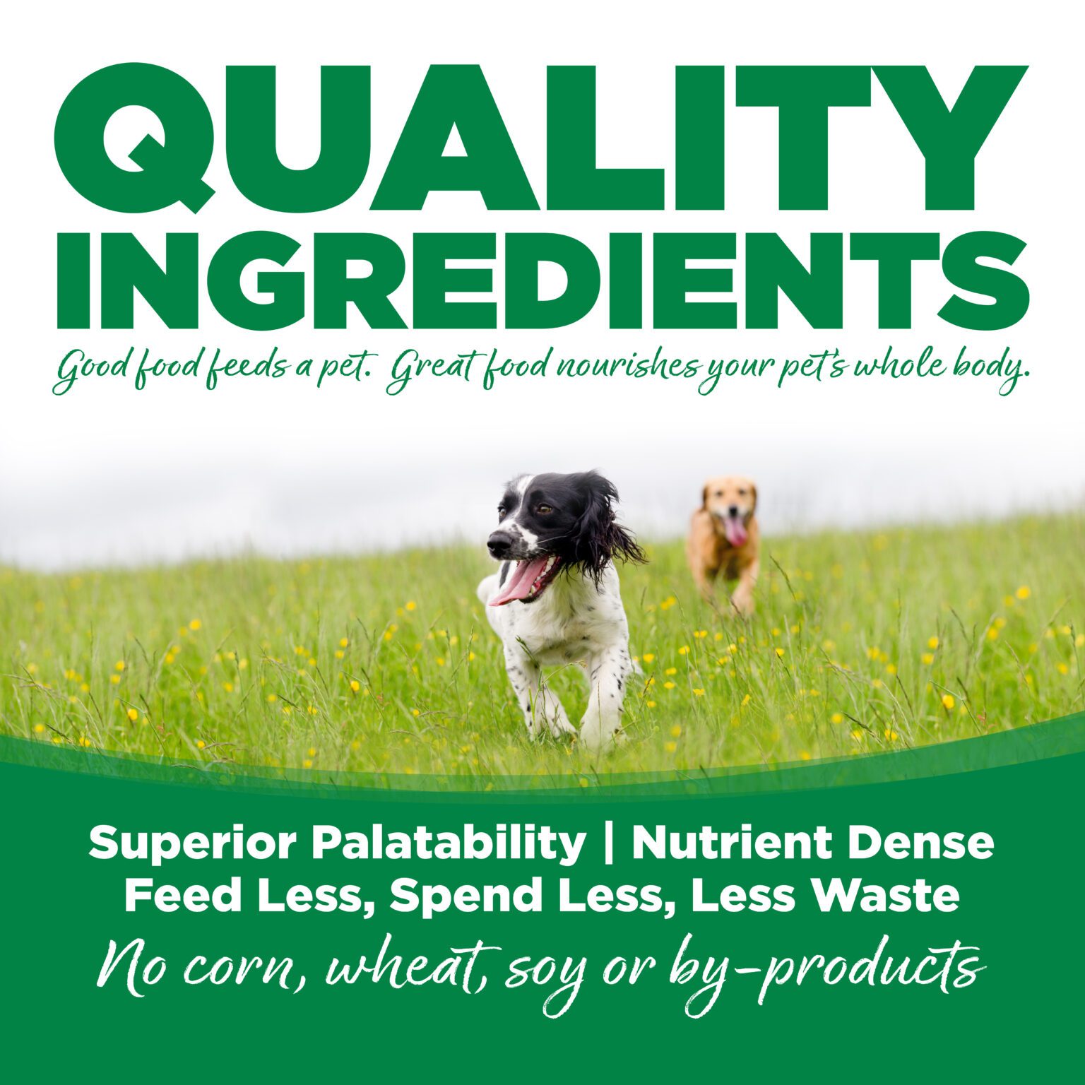 Affordable Dog Food | Choice Chicken Meal & Barley | NutriSource
