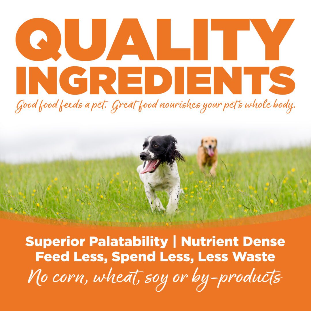 Affordable Dog Food | Choice Turkey Meal & Barley | NutriSource Pet