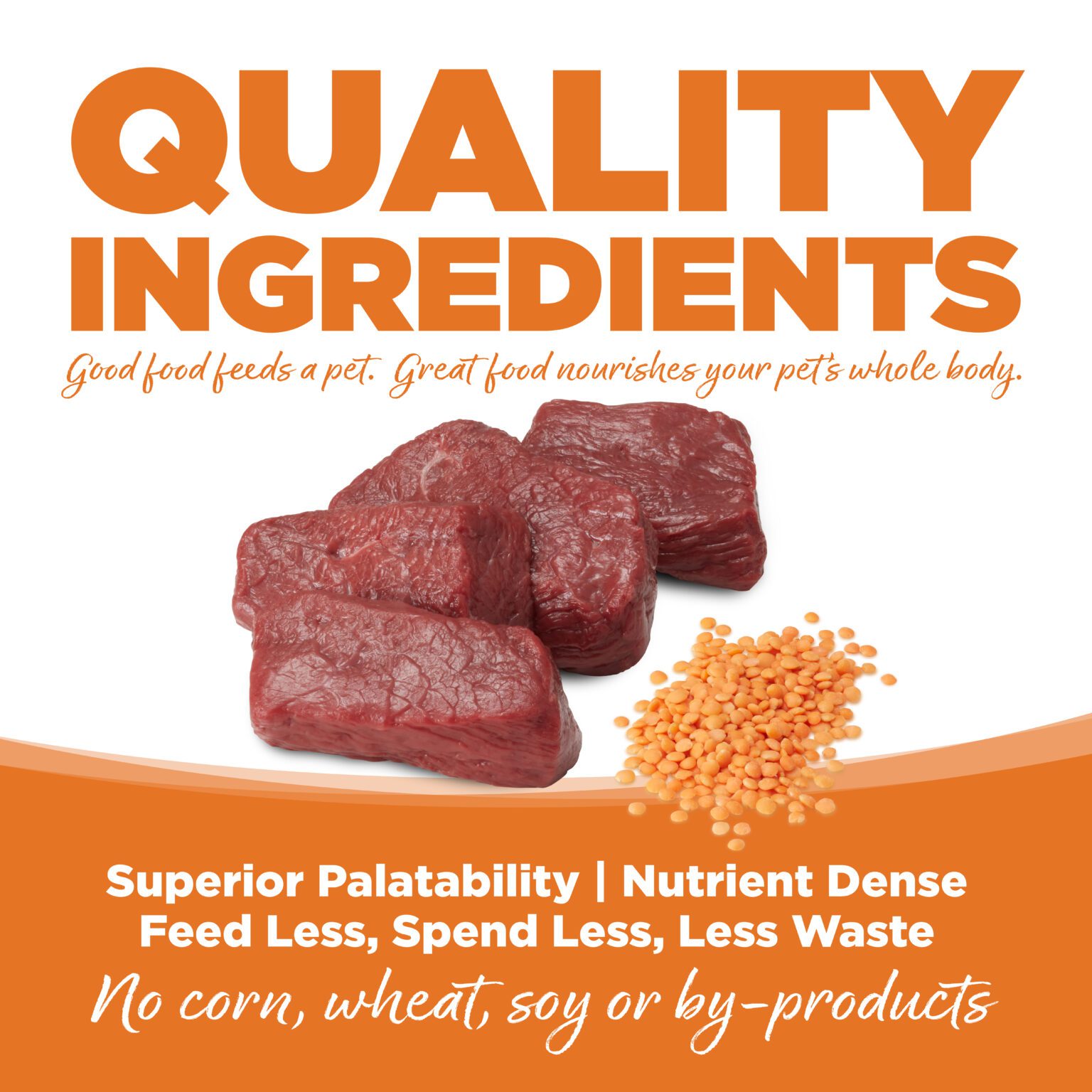 Venison & Red Lentils Dog Food | PureVita | NutriSource Pet Foods