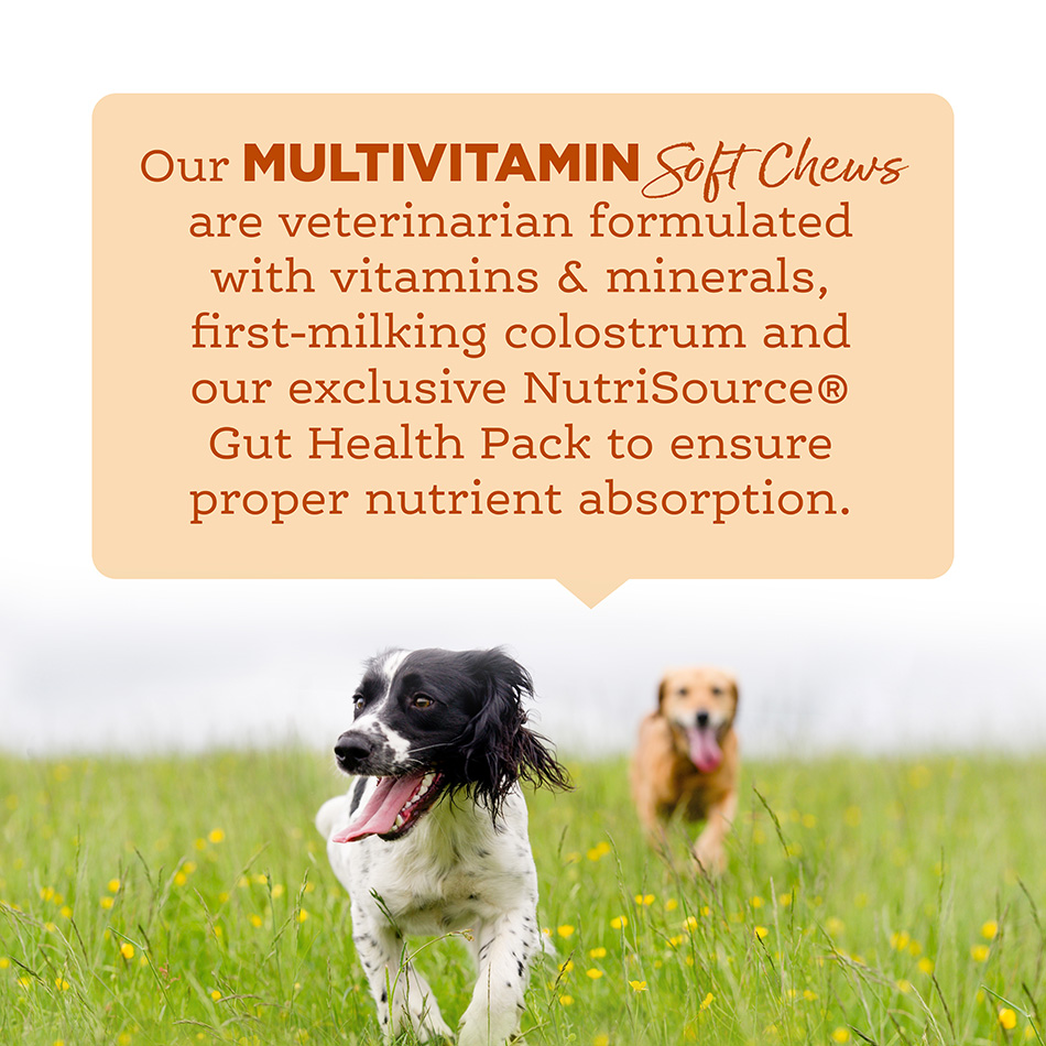 Soft Chew Multivitamin Supplement | Multivitamin Canine Health ...